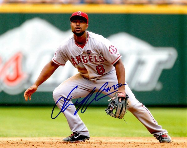 chris nelson baseball