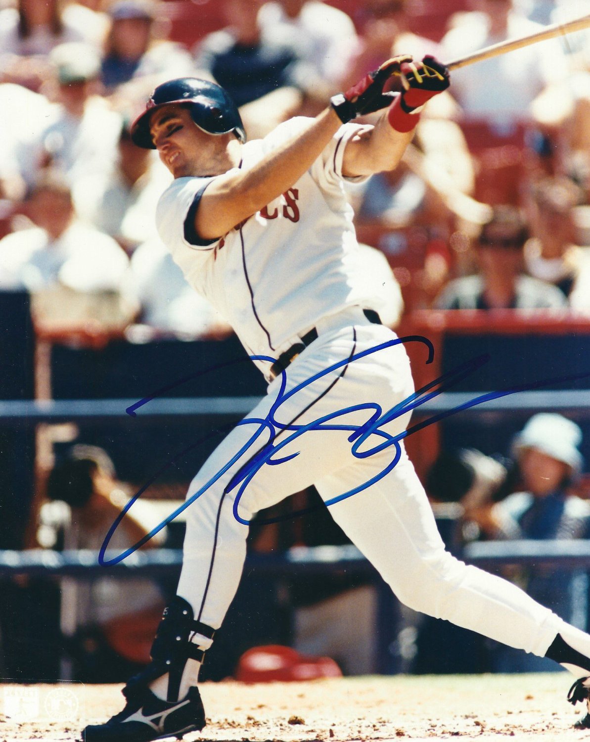 Tim Salmon Autographed Signed 8X10 California Angels Photo - Autographs